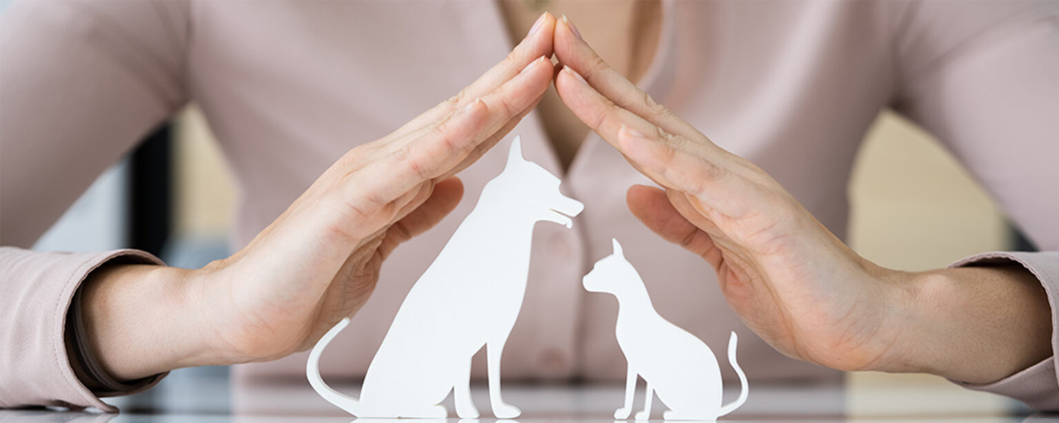 Learn the Laws about Having Pets in Co-Ops & Condos