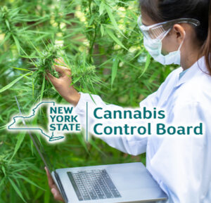 Client Alert: NYS Cannabis Adult-Use Licenses Portal Opens